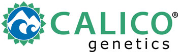 About Us | Green Fuse Botanicals Inc.